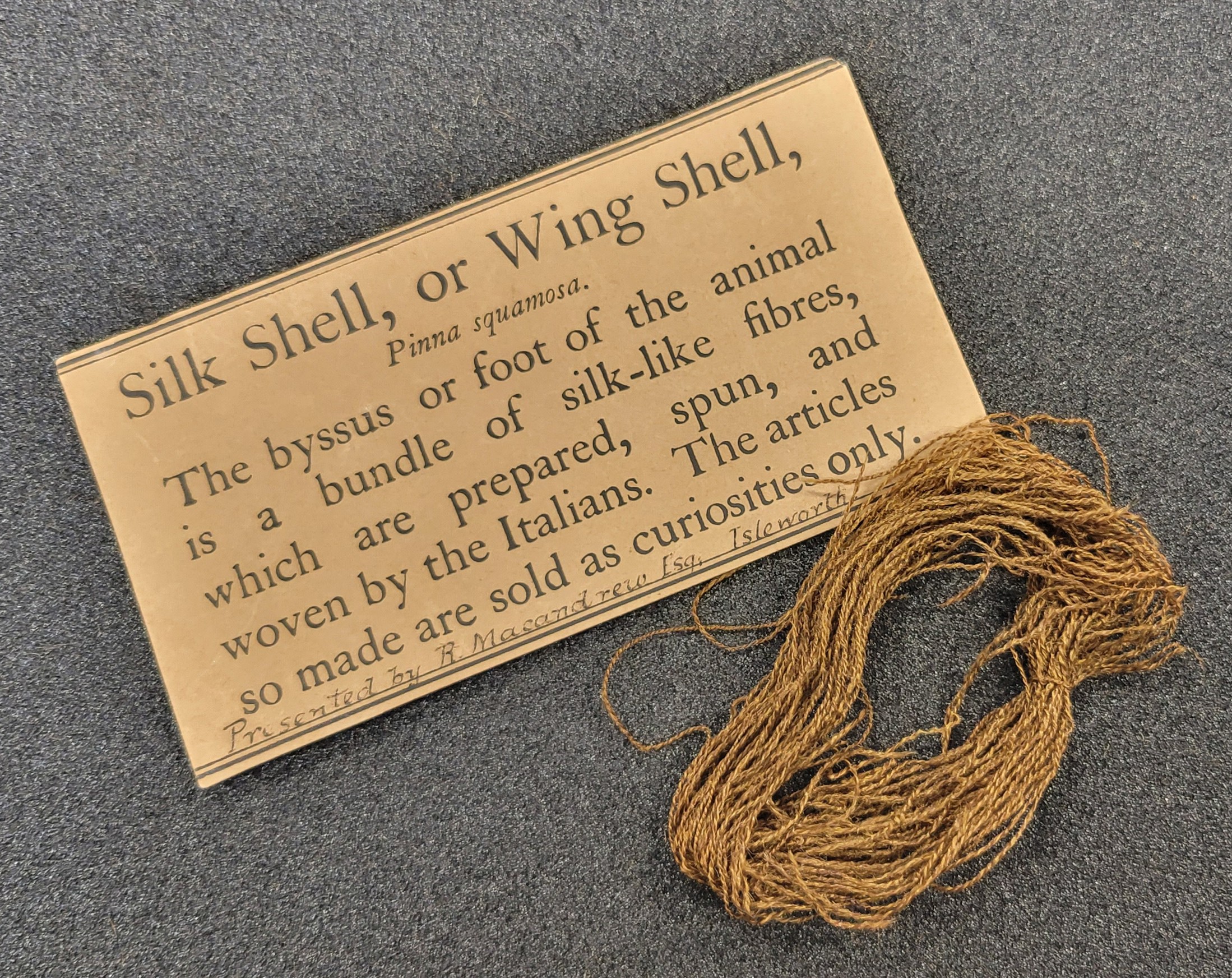Historical Samples - The Sea Silk Project